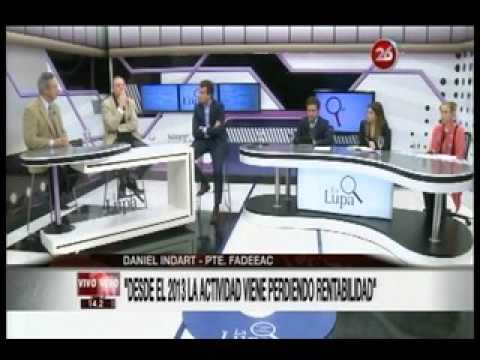 Entrevista a Daniel Indart en el programa La Lupa - YouTube