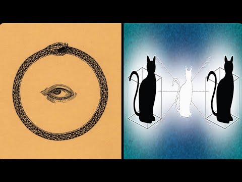 The Metaphysics of Schrodinger’s Cat | Conciousness and the Observer ...