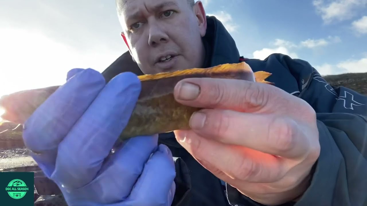 Fishing Whitburn wherry - YouTube
