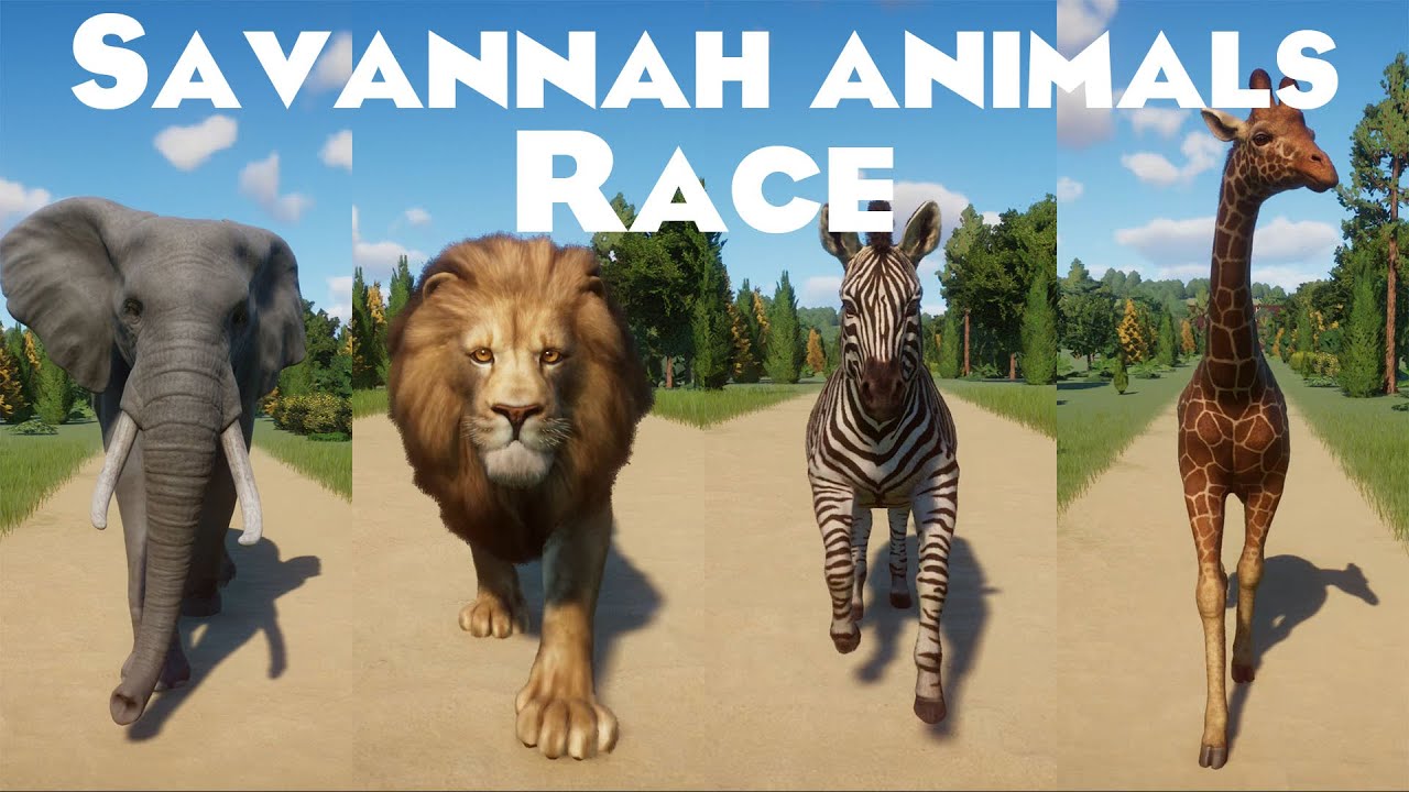 Savannah animals Races in Planet Zoo included Elephant, Lion, Cheetah ...