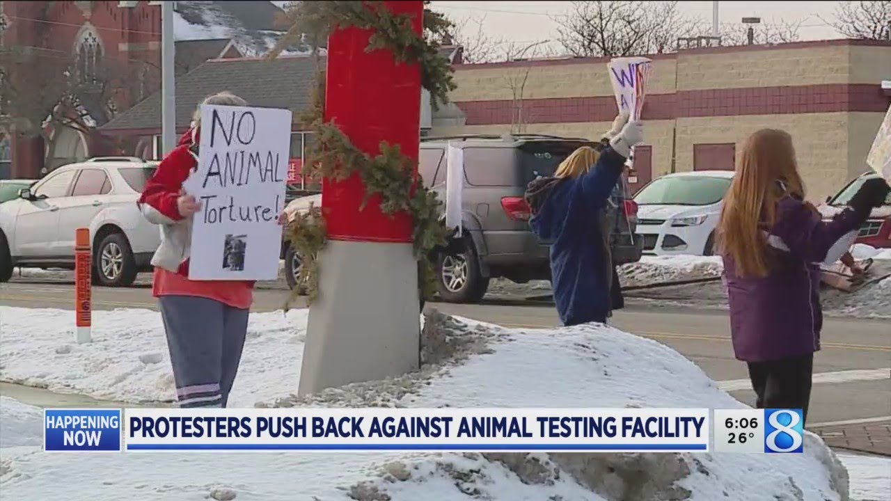 Protestors push back against animal testing facility - YouTube