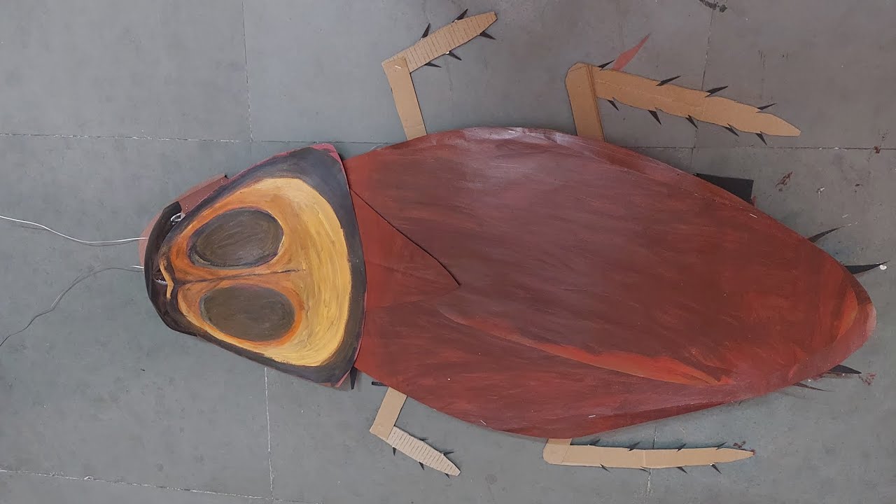 Fancy dress (part 1) Insect theme - YouTube