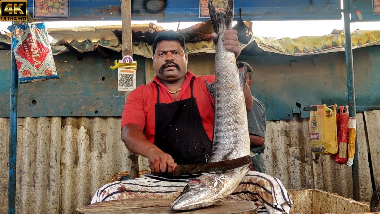 KASIMEDU 🔥 SPEED SELVAM | BROWN BARRACUDA FISH CUTTING VIDEO | 4K VIDEO ...