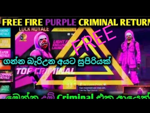 FREE FIRE PURPLE CRIMINAL RITUN....FF දම් ක්‍රිම්නල් රිටන්..😍😍😊😊 - YouTube