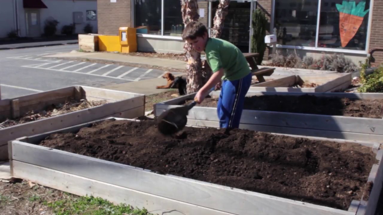 Planting Potatoes with the Trench Method - YouTube