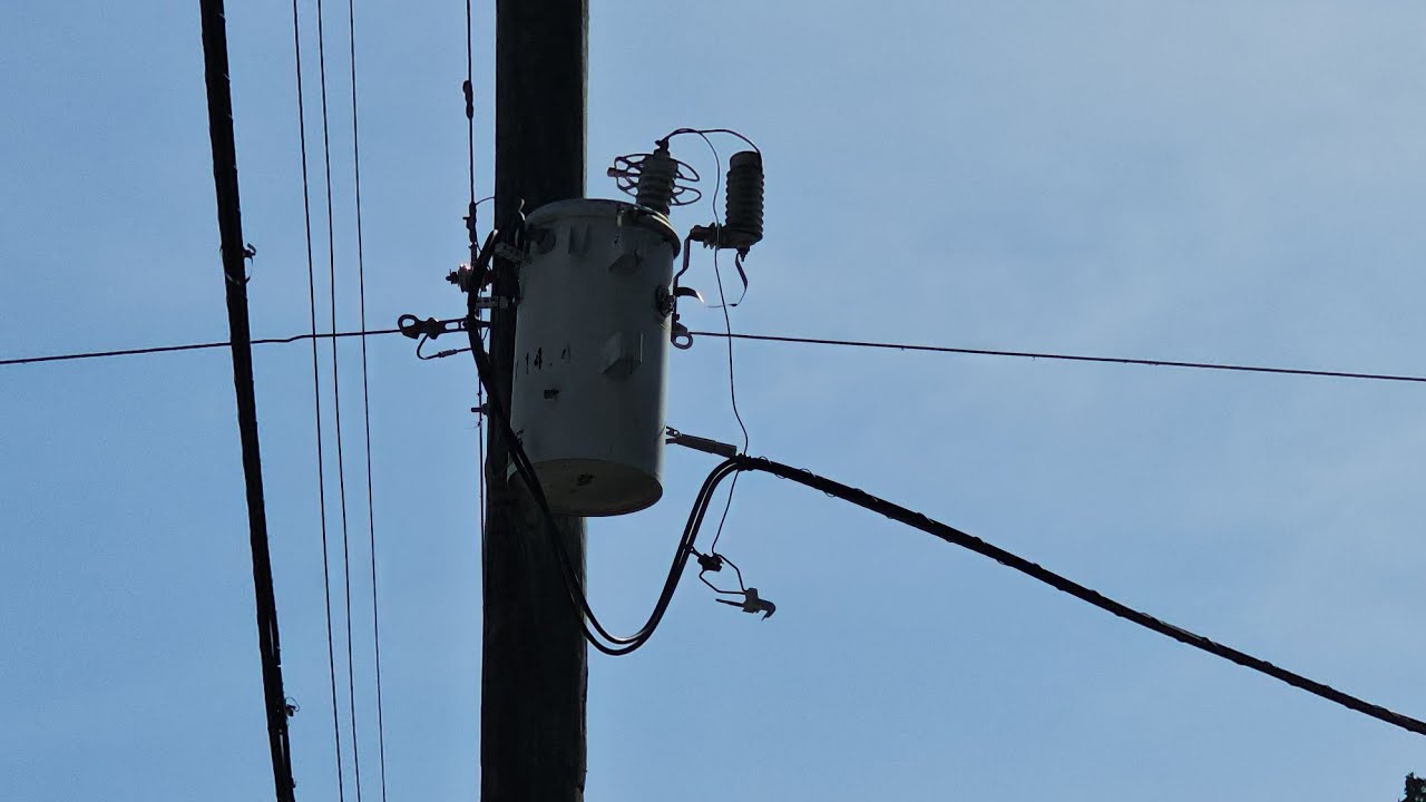 Live. 2 days after hurricane Helene drive through crystal river - YouTube