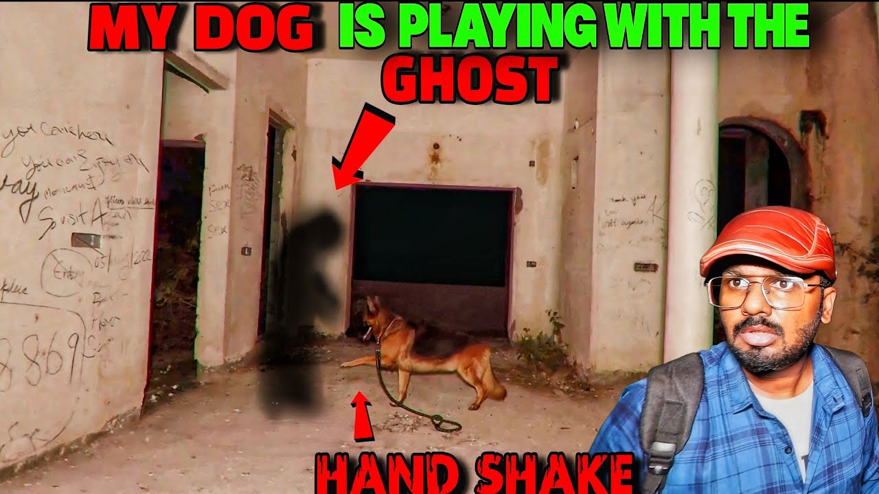 My Dog is Playing with a Ghost 🥺 - YouTube