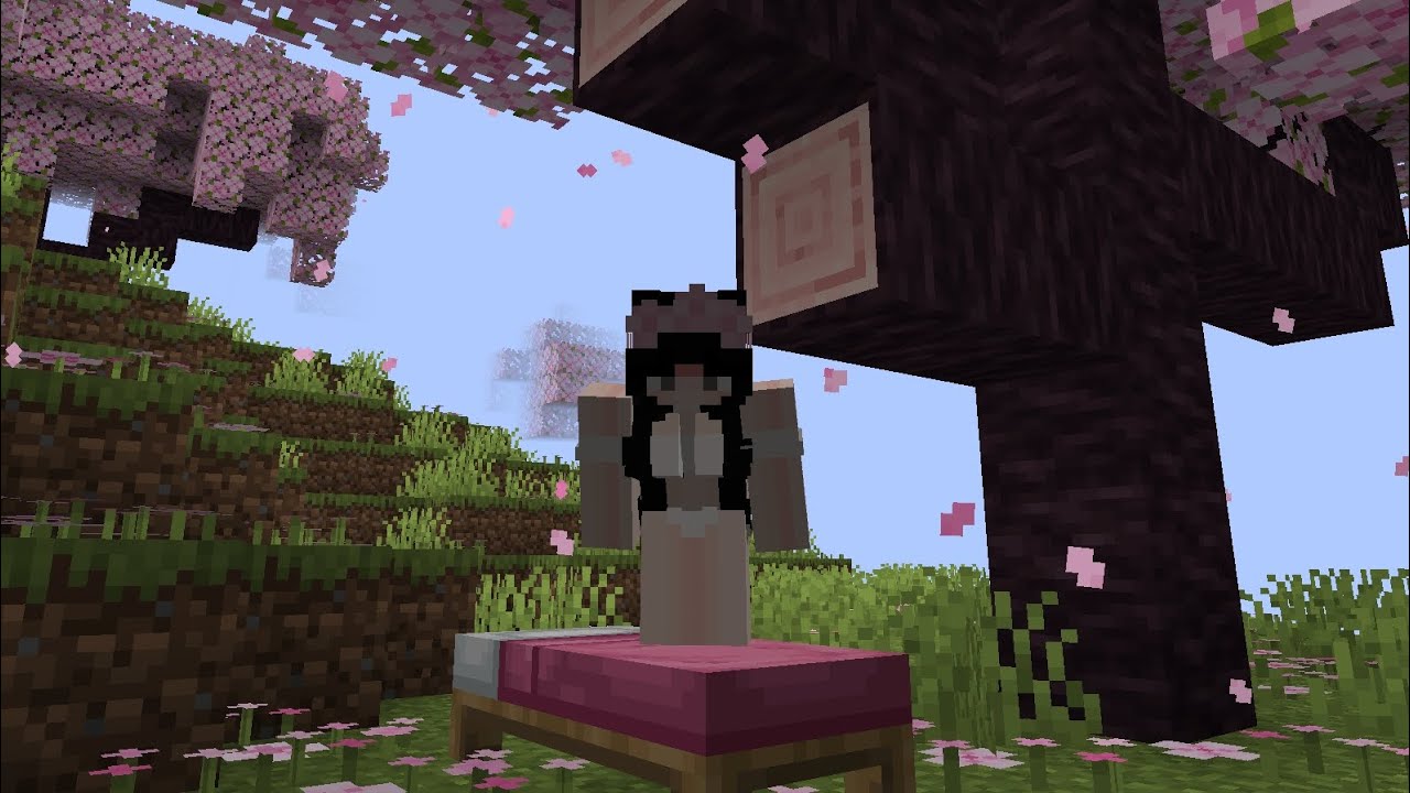 Minecraft Gender mod🌸 - YouTube