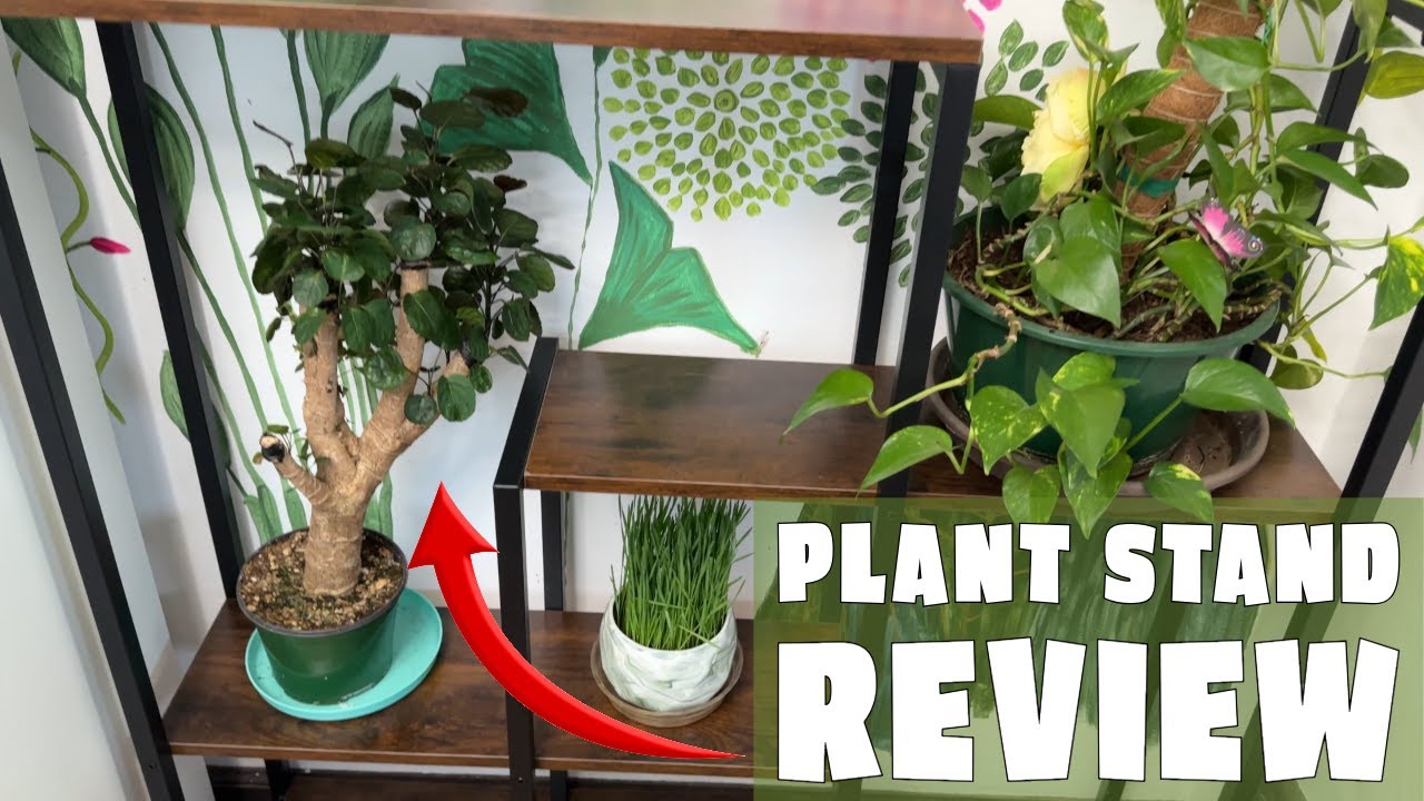 Unboxing the Tall Plant Stand with Grow Light | Elegant 5-Tier Plant ...