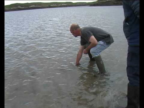 English Documentary: Catching razorfish - YouTube