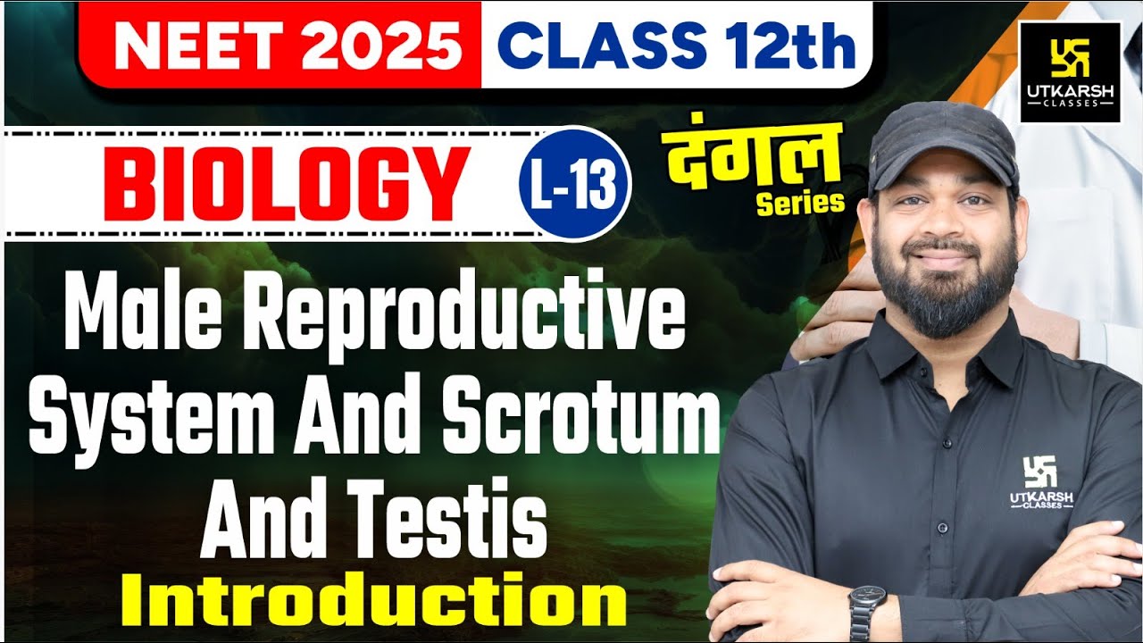 Class 12 Biology | Male Reproductive System and Scrotum and Testis ...
