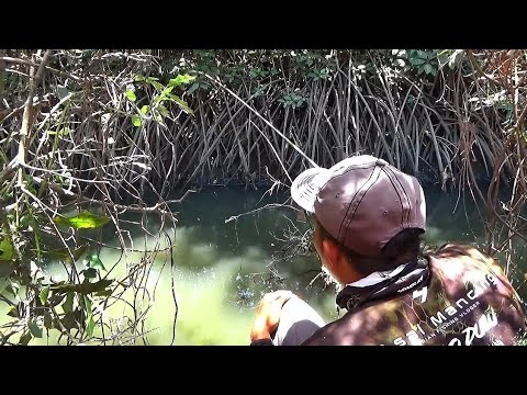 Ketika waktu mancing ikan segacor ini,,jadi lupa yang mau pulang mas bro
