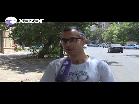 İxtisas seçimi başladı