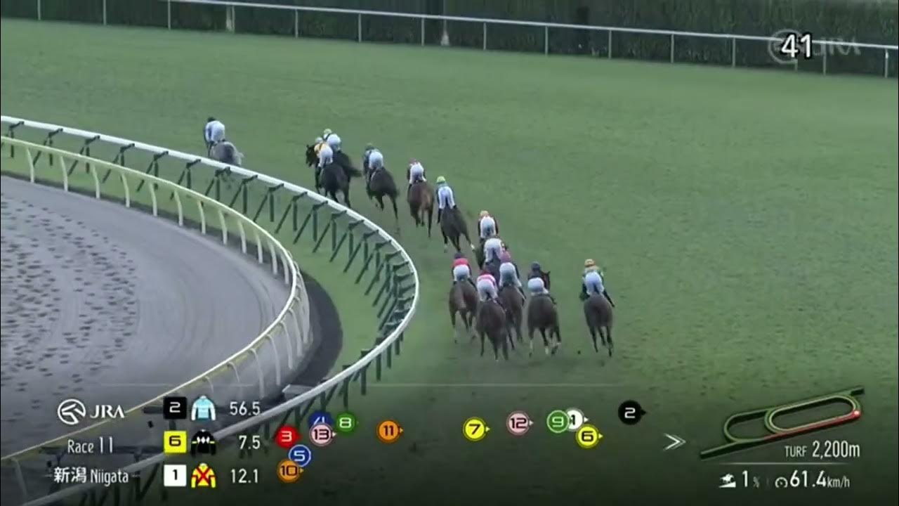 2024年10月20日新潟11R 新潟牝馬S 芝2200m ホールネス - YouTube