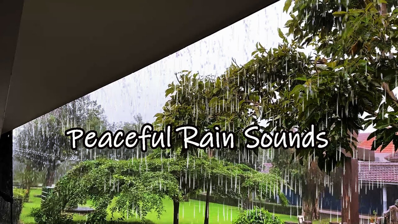 Peaceful Rain Sounds for Deep Sleep & Relaxation | Calming Rainfall for ...