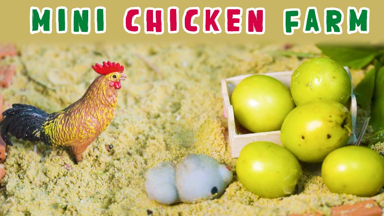 Mini chicken farm | Farm with baby chickens, farm cars and fun farm ...