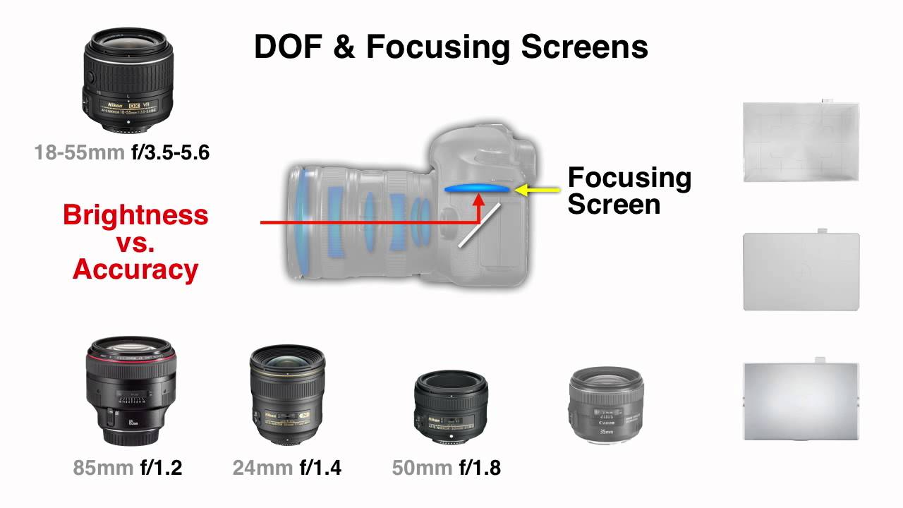 Camera Focus Screen