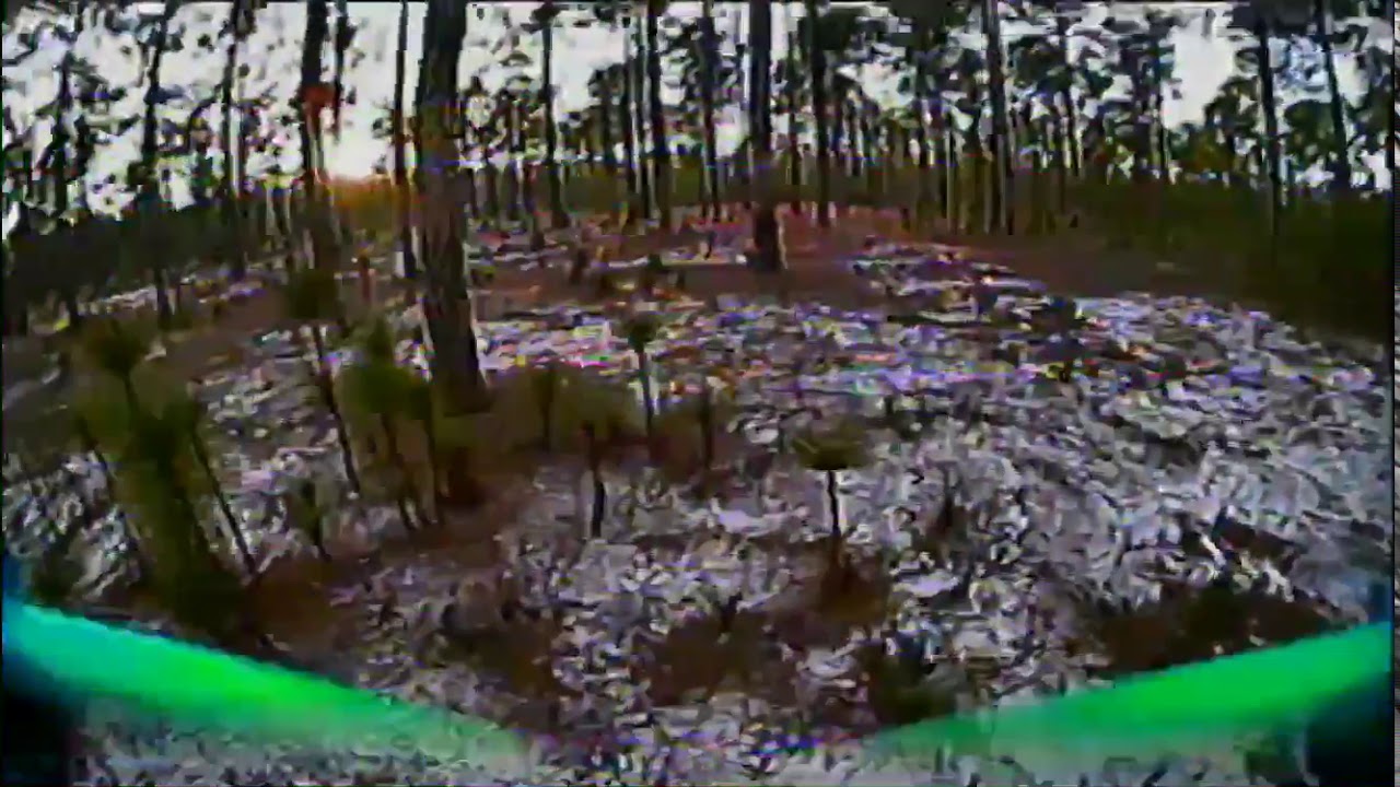 Scimitar 215 tree dodging - YouTube