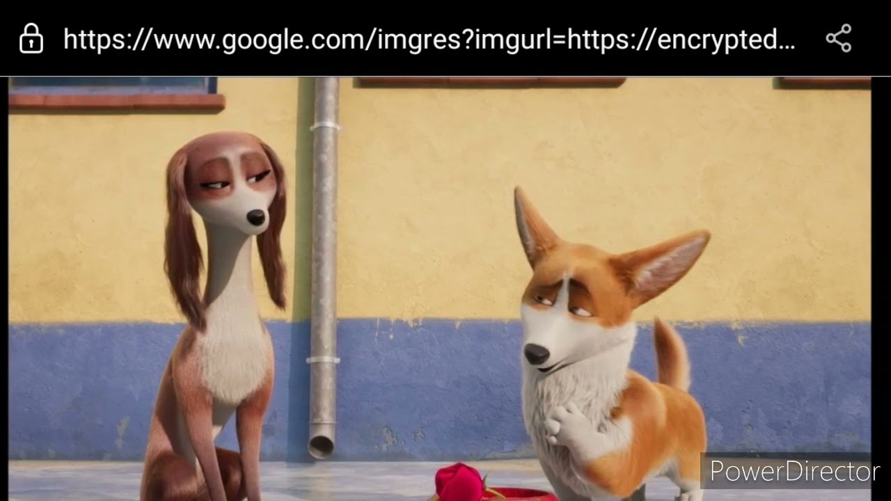 the queen's corgi rex x wanda nothing breaks like a heart - YouTube