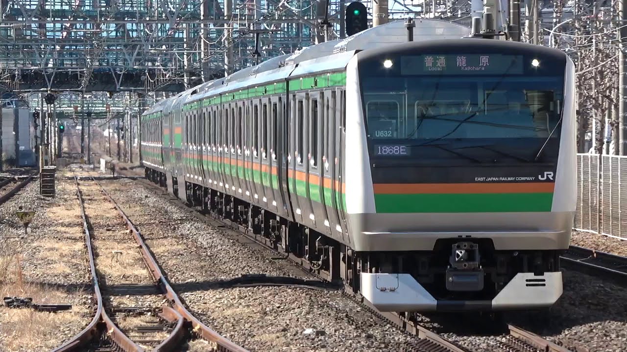 【E233系では珍しい電連付きの顔！】東海道線 藤沢駅 E233系3000番台 到着 - YouTube