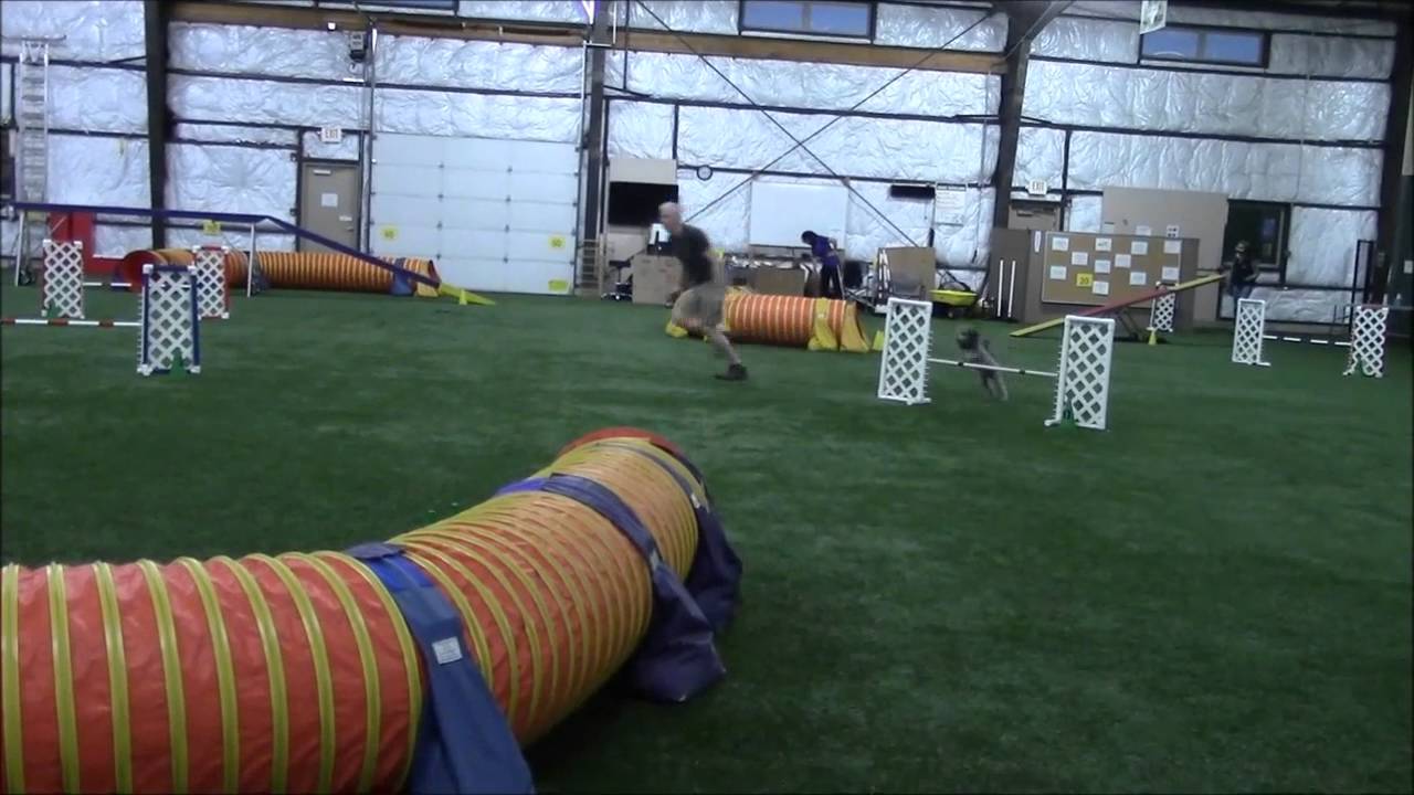 Ice: Tamas Traj Jumping Practice 4th May 2016 - YouTube