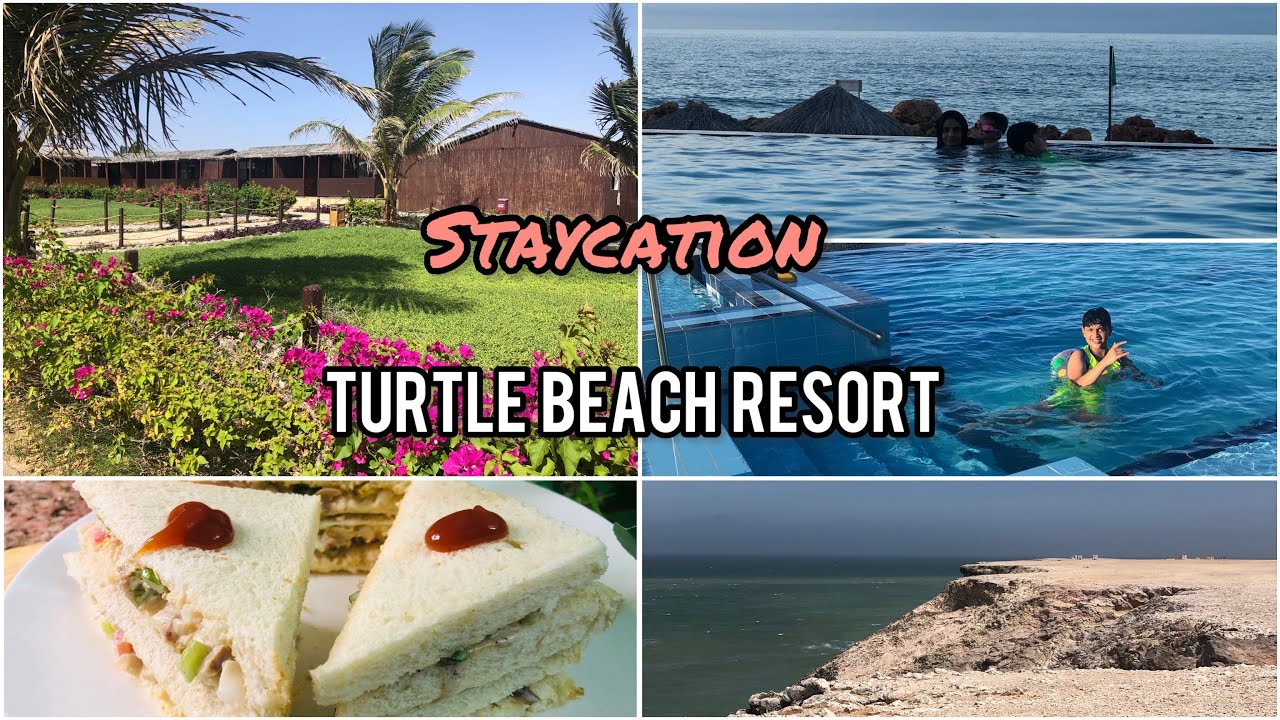 Turtle beach resort oman | Muscat travel vlog| easy sandwich recipe ...