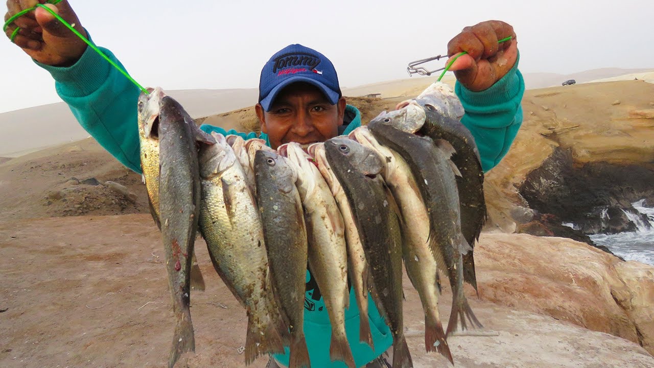 EXCELENTE PESCA con la MEJOR CARNADA / Pesca con Anzuelo - YouTube