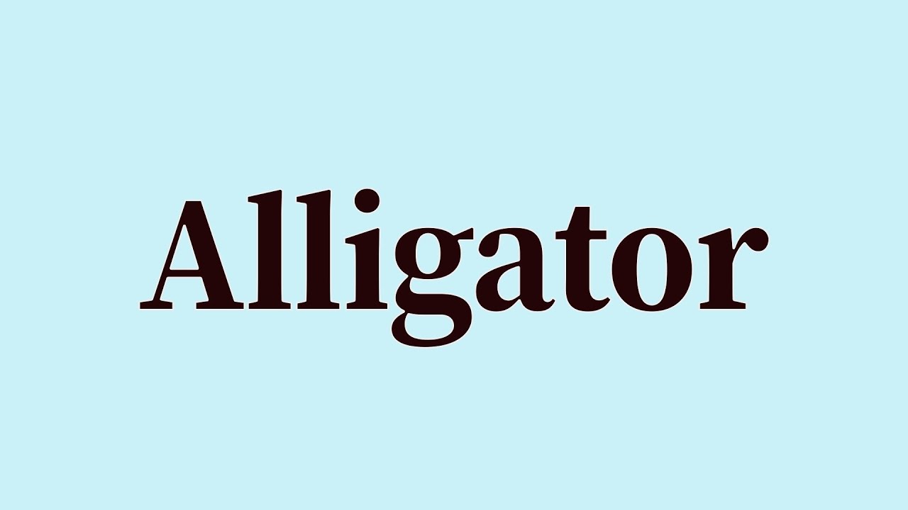 Alligator Pronunciation and Meaning - YouTube