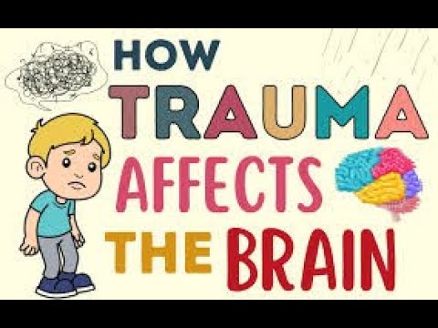 How does trauma change a child's brain? - YouTube