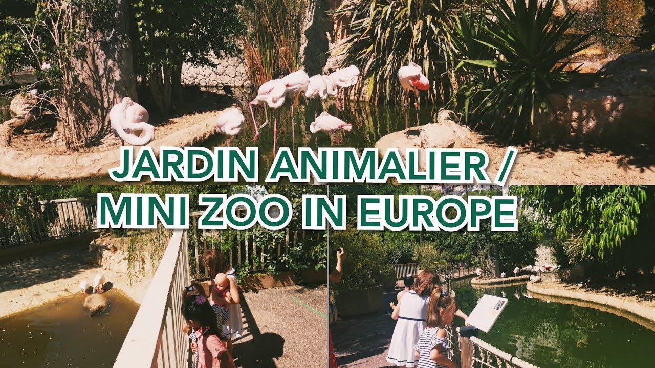 Jardin Animalier de Monaco /Mini Zoo in Europe! - YouTube