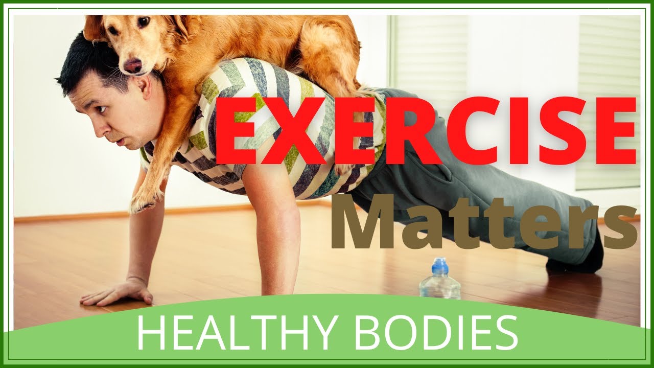 Why Exercise Is Important In Our Daily Life - YouTube
