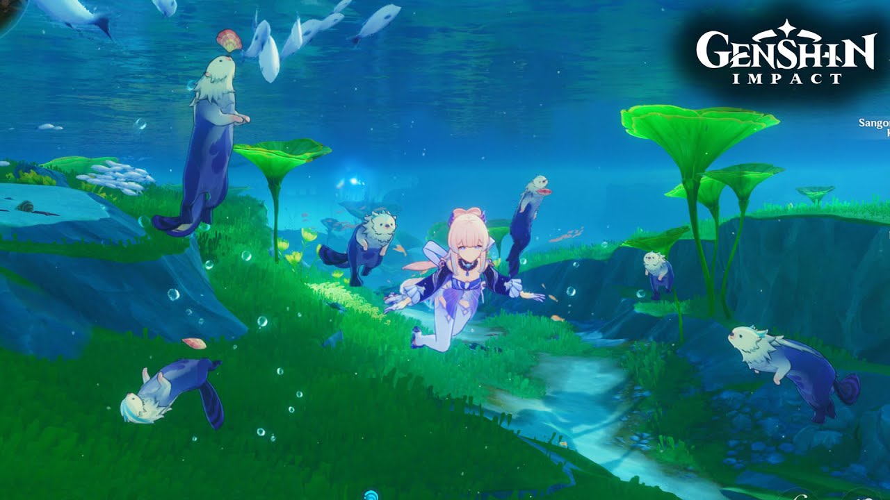 8 Leisurely Otter Locations GENSHIN IMPACT 4.0 - YouTube