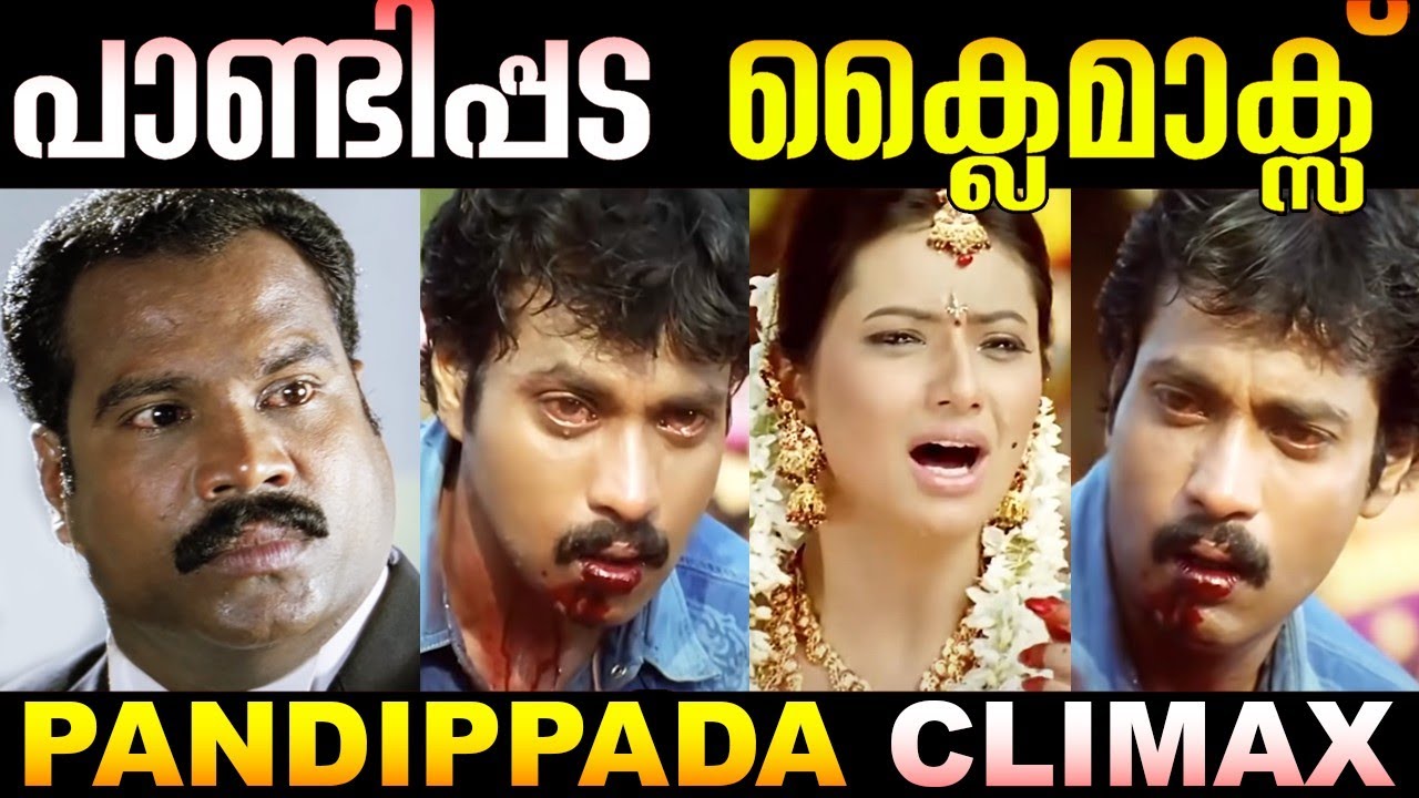 പൊടിപാറുന്ന അടി 😂🤣 | Pandippada Climax Troll | Pandippada Remake Troll ...
