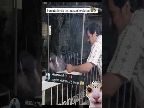 Komik instagram video yorumları , Benzersiz paylaşımlar  24