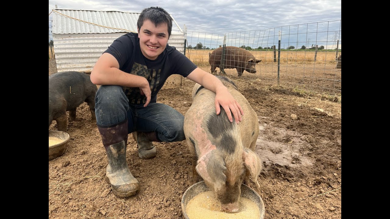 Catching Up With the Hogs! - YouTube