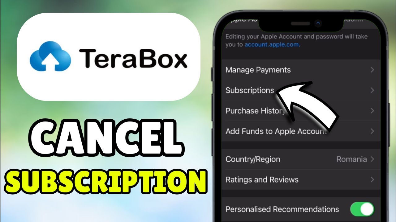 How To Cancel Terabox Subscription - Cancel Terabox Premium ...