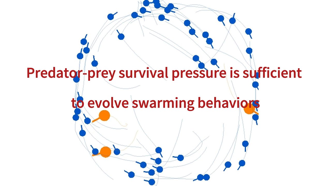 [NJP-2023] Predator-prey survival pressure is sufficient to evolve ...