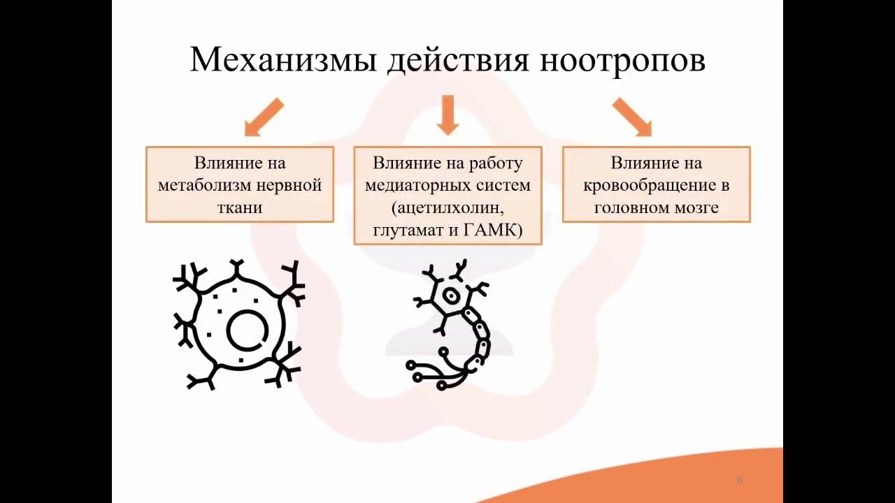 15.4. Ноотропные средства (ноотропы) - YouTube