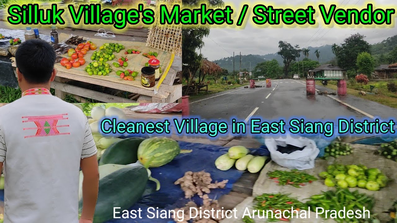 Silluk Village the Cleanest Village in East Siang District Arunachal l ...
