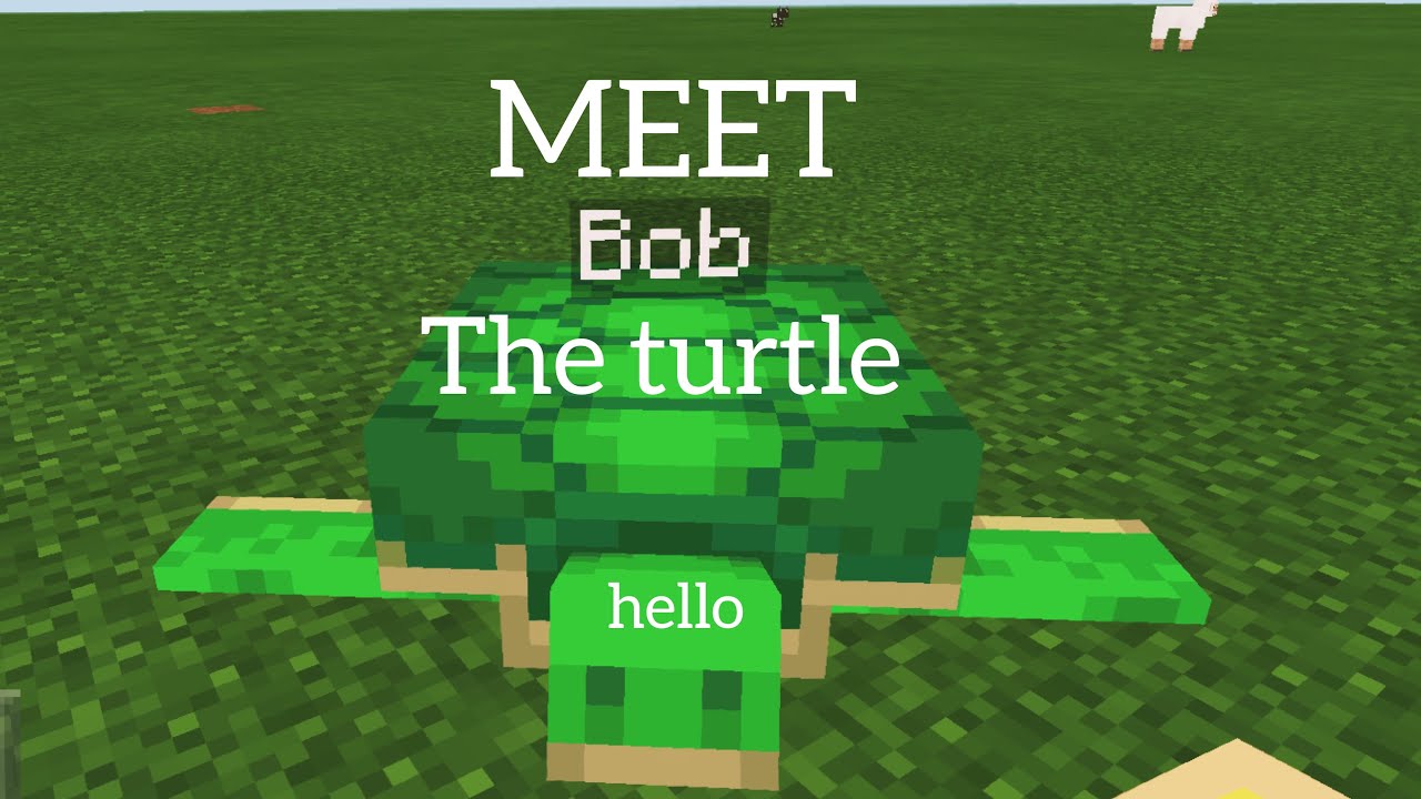 Introducing Bob - YouTube