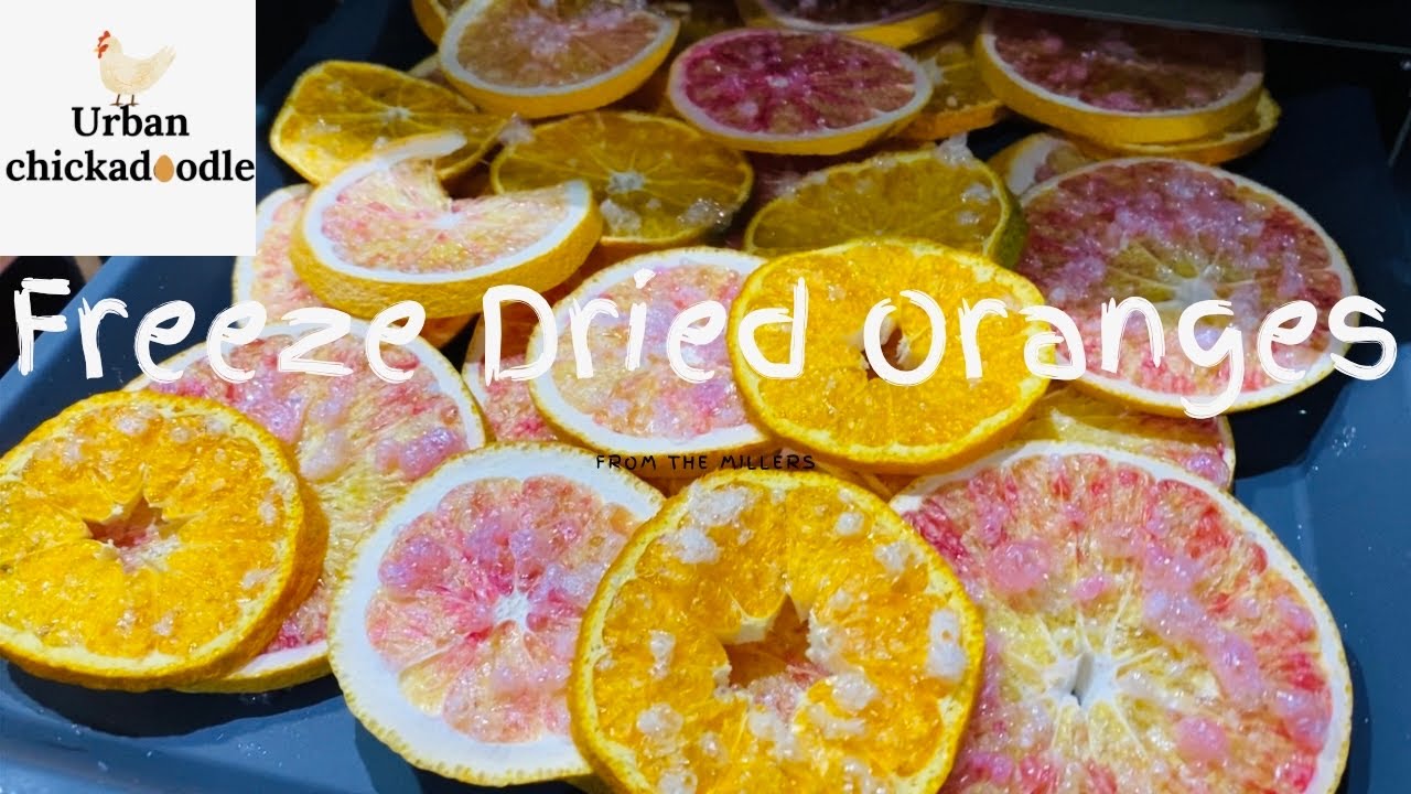 Is Freeze Drying Oranges, hard to do? And do they taste Good? - YouTube