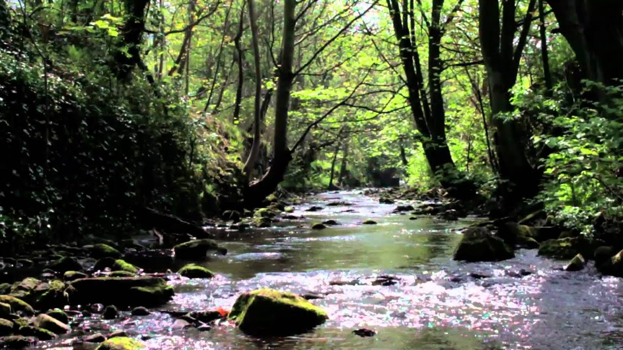 Walking Holme by Jez Dolan and Dan Fox - YouTube