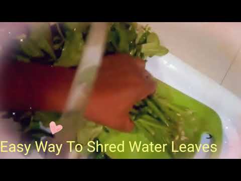 Easy way to shred water leaves - YouTube