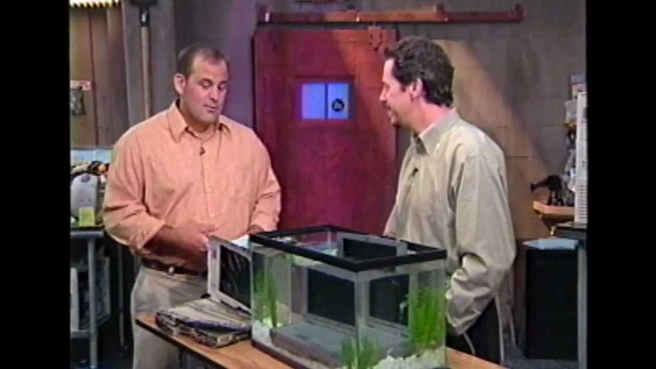 TechTV ScreenSavers-July 2001 - YouTube