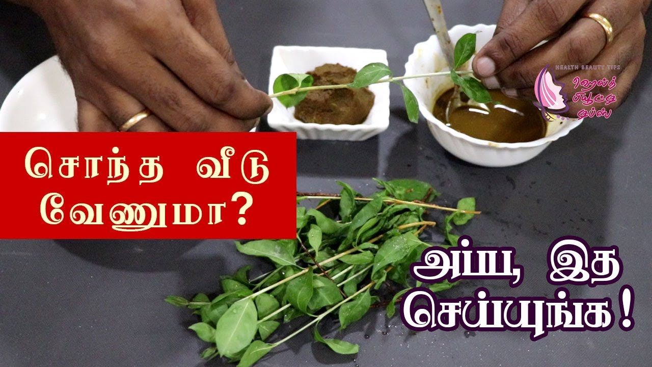 Maruthani benefits for hair in Tamil | Maruthani benefits in Tamil ...