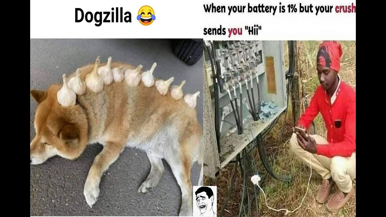 Funny memes only legends will understand | Funny Memes| Dank memes ...
