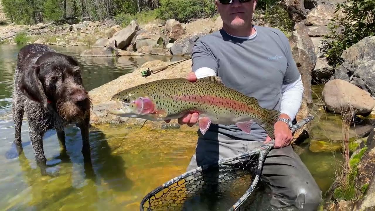 BRUISER BROWN TROUT & MONSTER RAINBOWS (Fly Fishing) - YouTube