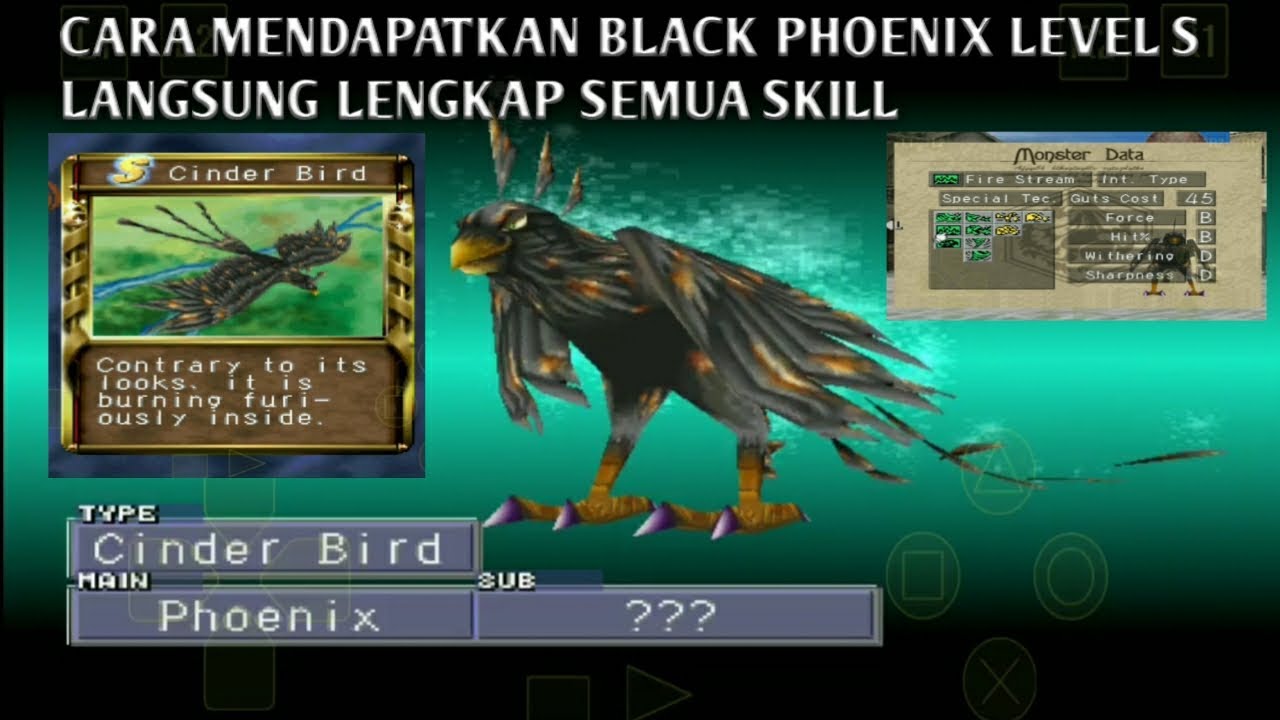 Cara Mendapatkan Black Phoenix Monster Level S - Monster Rancher 2 ...