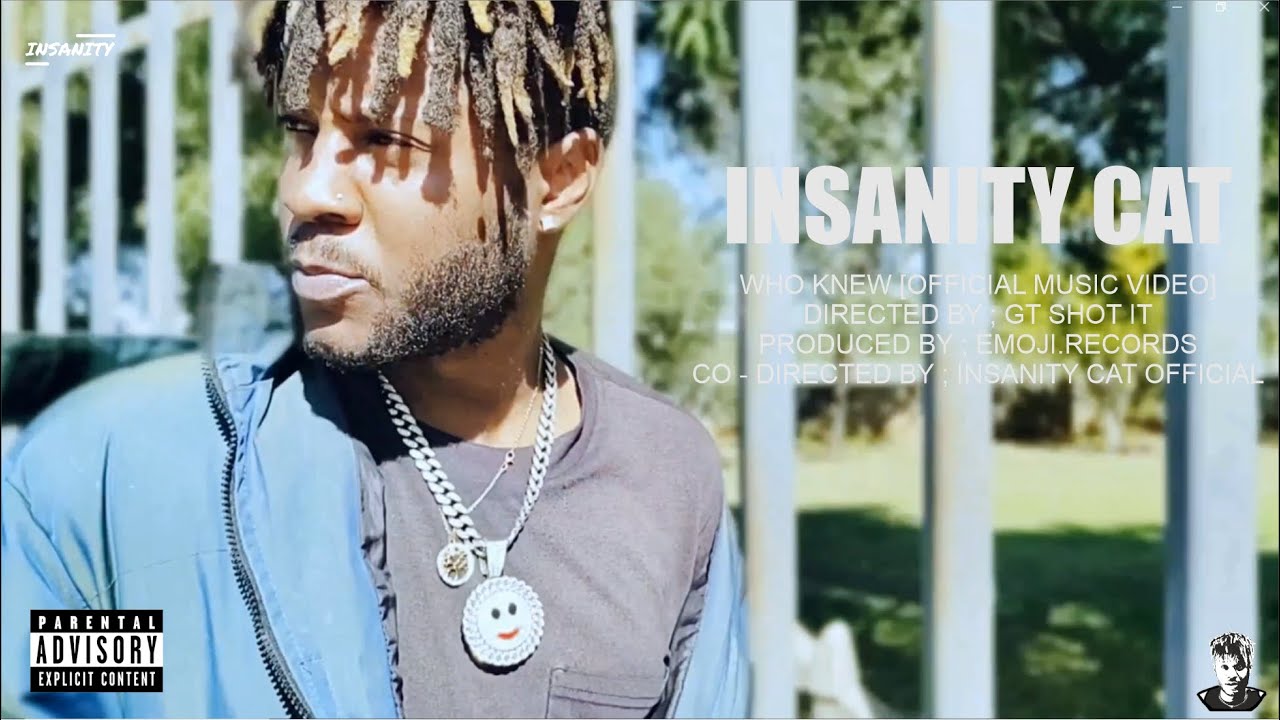 Insanity Cat - Who Knew - YouTube