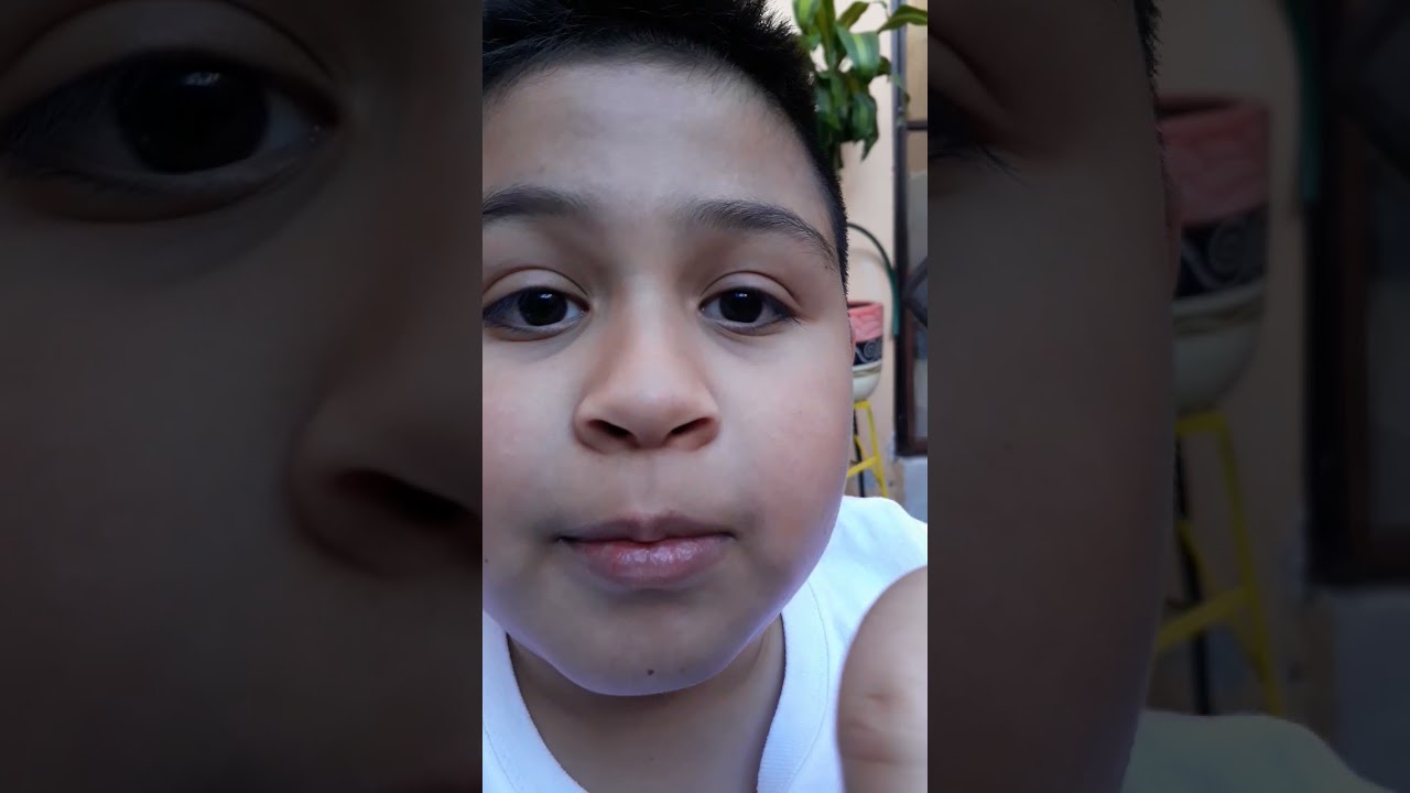 el pana Rabbit - YouTube